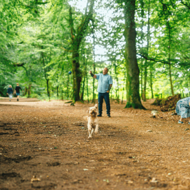 Erigmore Leisure Park, Perthshire | Verdant Leisure