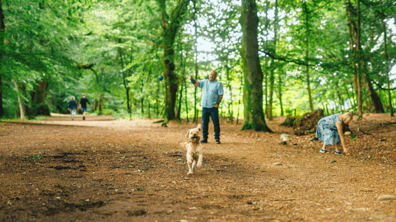 Erigmore Leisure Park, Perthshire | Verdant Leisure